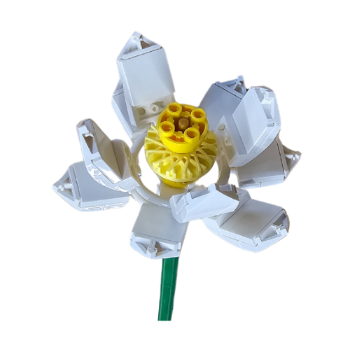 Lotus White Open – Bricks & Minifigs Grand Rapids